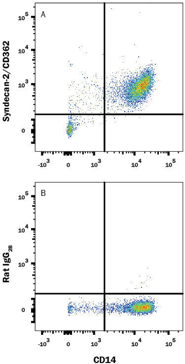 - ABIN4896005 - antibodies-online SDC2 antibody | Antibodypedia